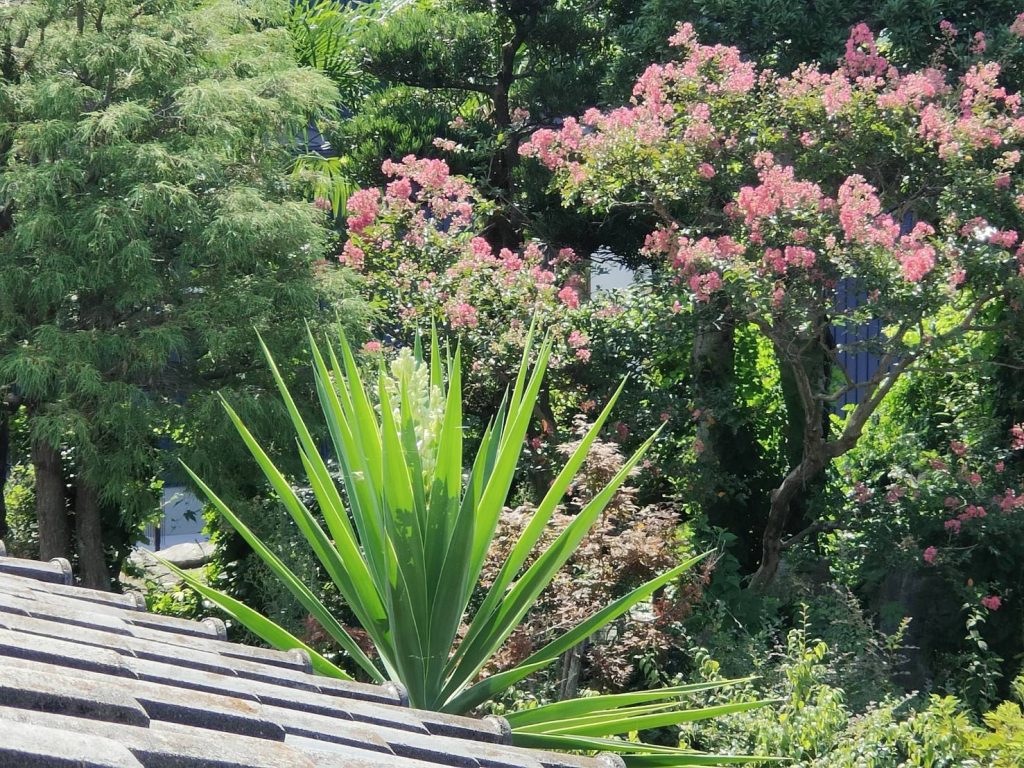 私らしさ - 大分市議会議員 仲道としひさ公式ホームページ